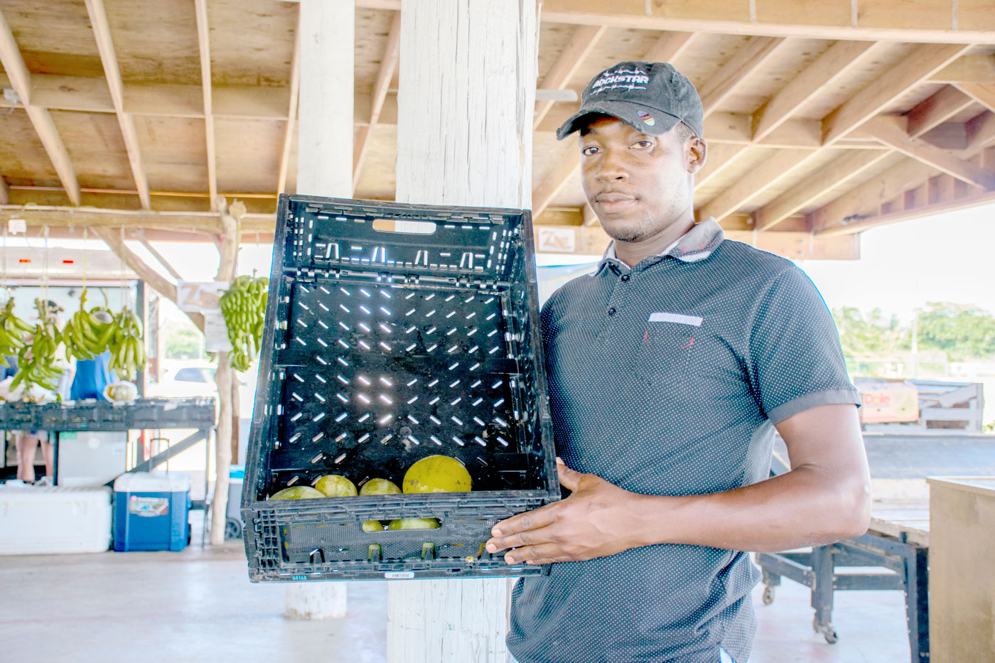 Cayman mango season called ‘the worst ever’ - Cayman Compass
