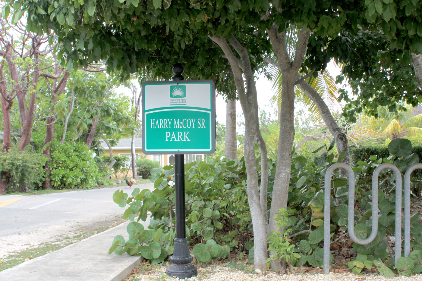 How Bodden Town Road was built - Cayman Compass