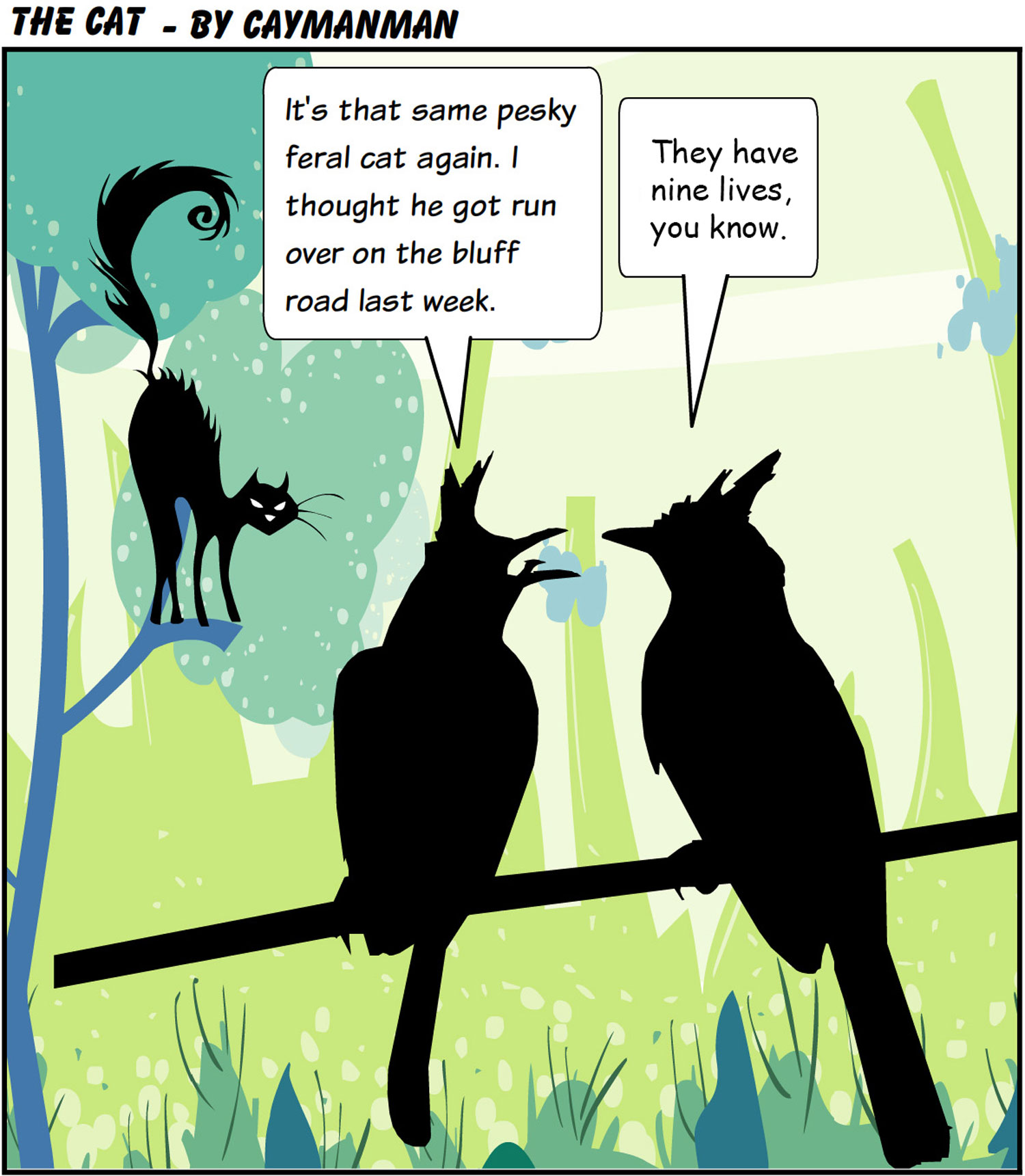 The cat - Cayman Compass