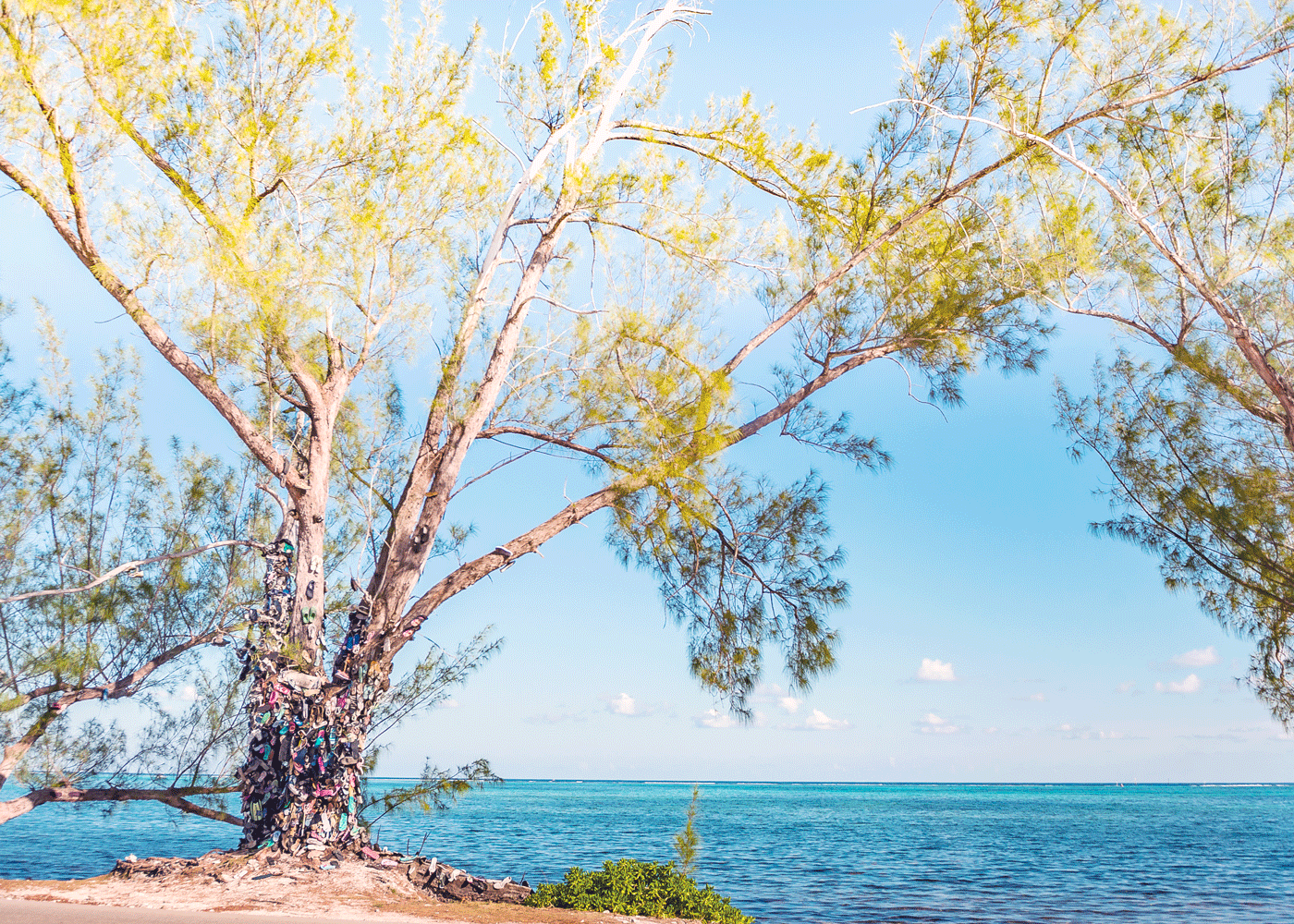 Two jailed for 10 years in ‘shoe tree’ firearms case - Cayman Compass
