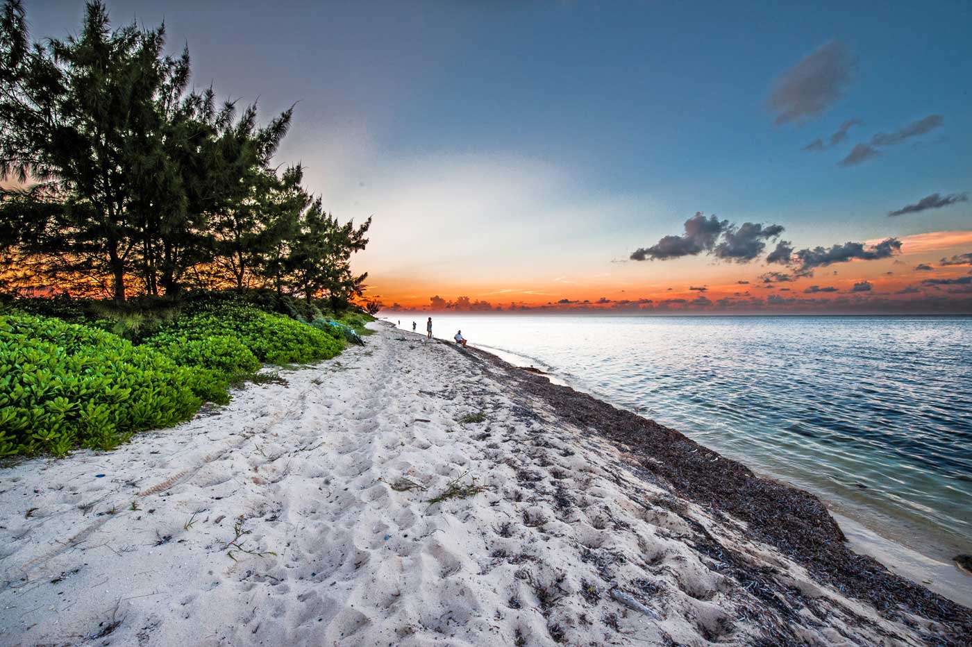 On Earth Day, a look at Cayman's unique environment - Cayman Compass