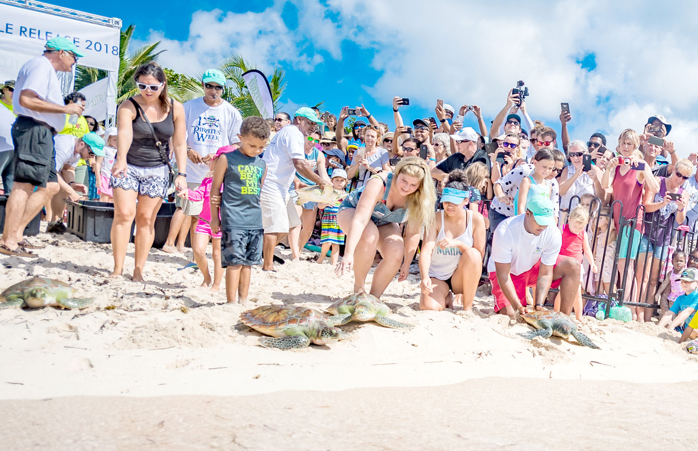 Turtle-Release-4 - Cayman Compass