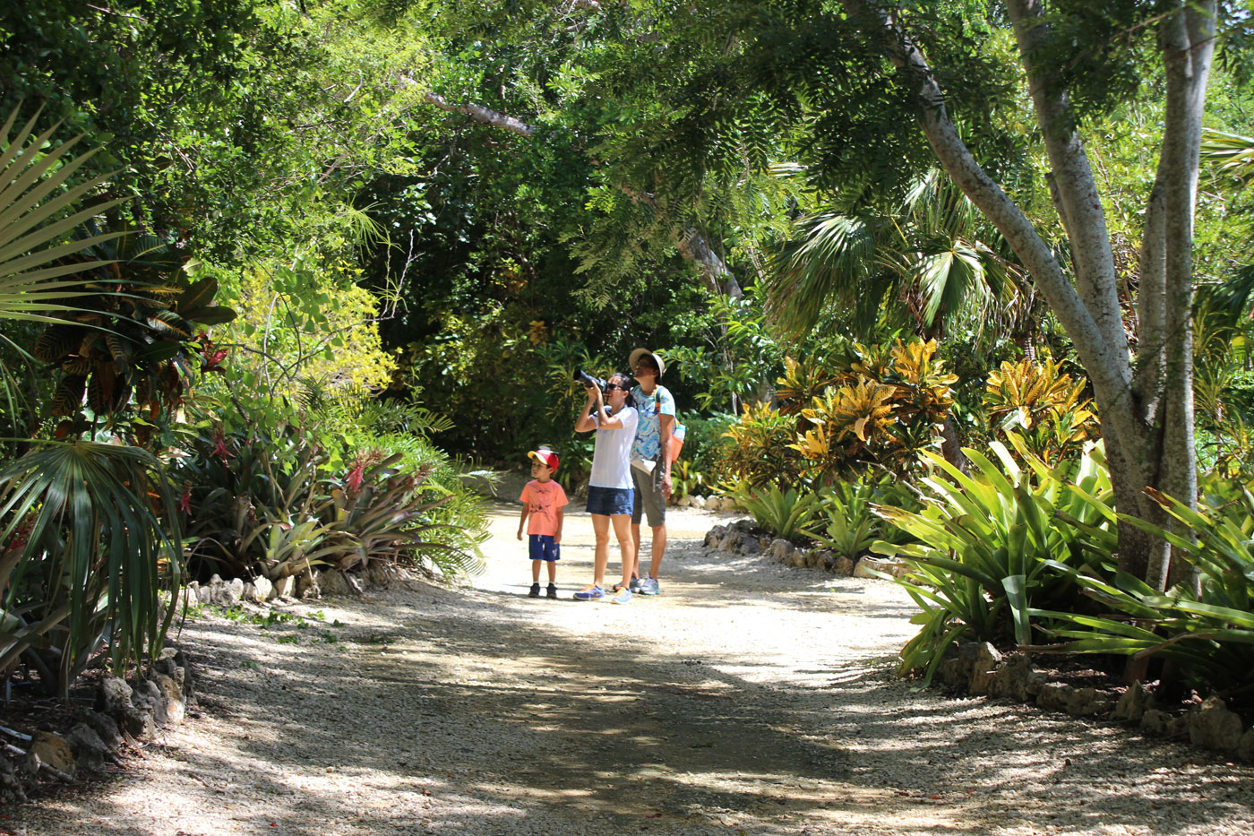 Botanic Park Family Fun Day - Cayman Compass