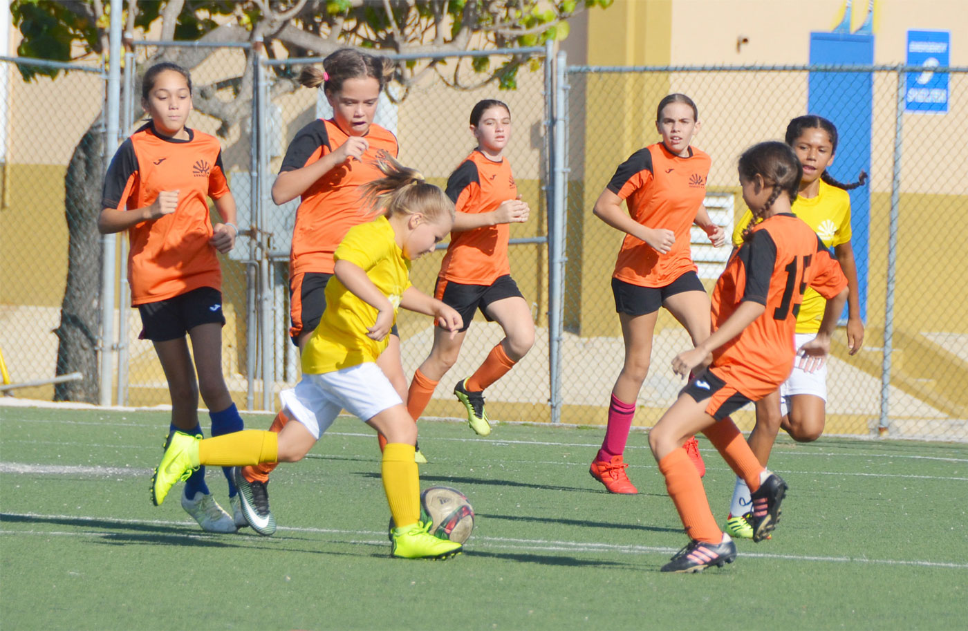 Sunset Under 13 girls battle for bragging rights - Cayman Compass