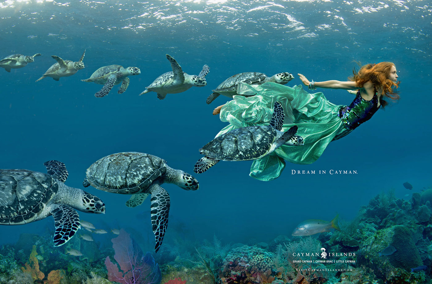 Tourism dreams big with new ad campaign - Cayman Compass