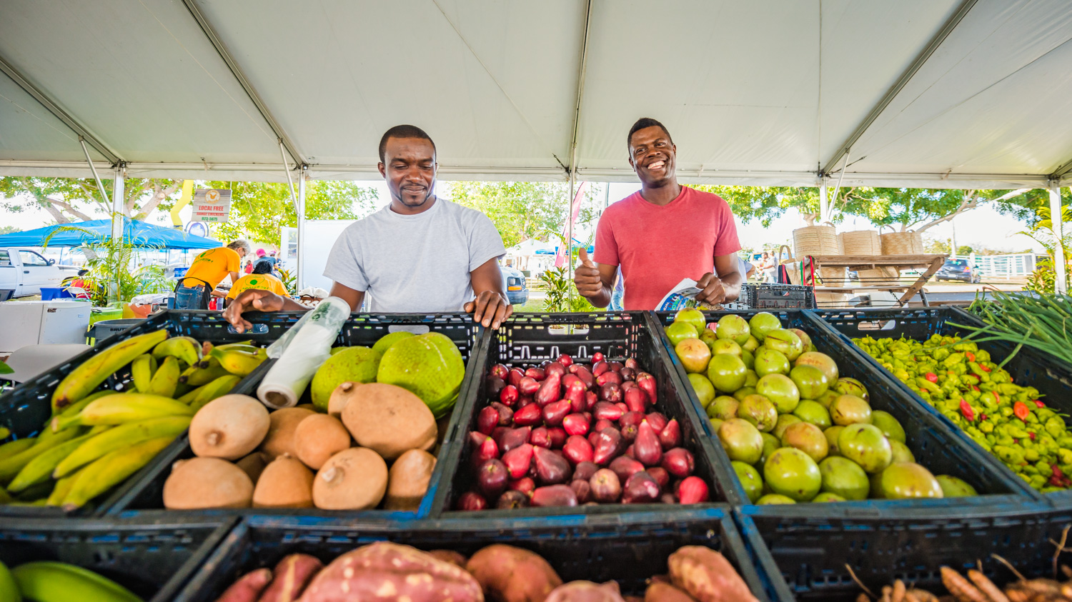Agriculture Show embraces tradition - Cayman Compass