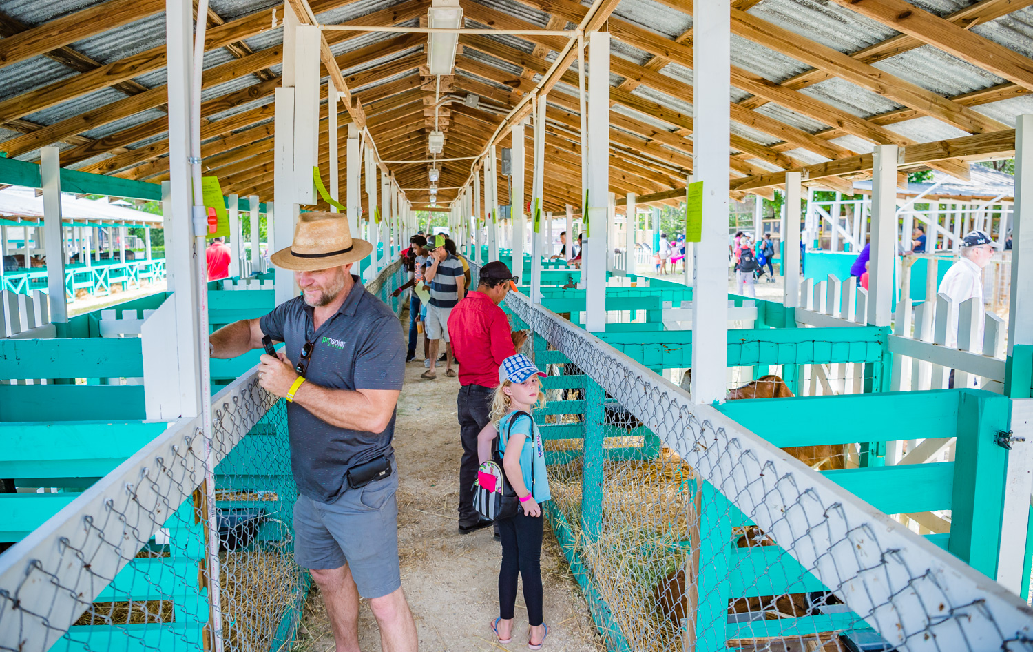 Agriculture Show embraces tradition - Cayman Compass