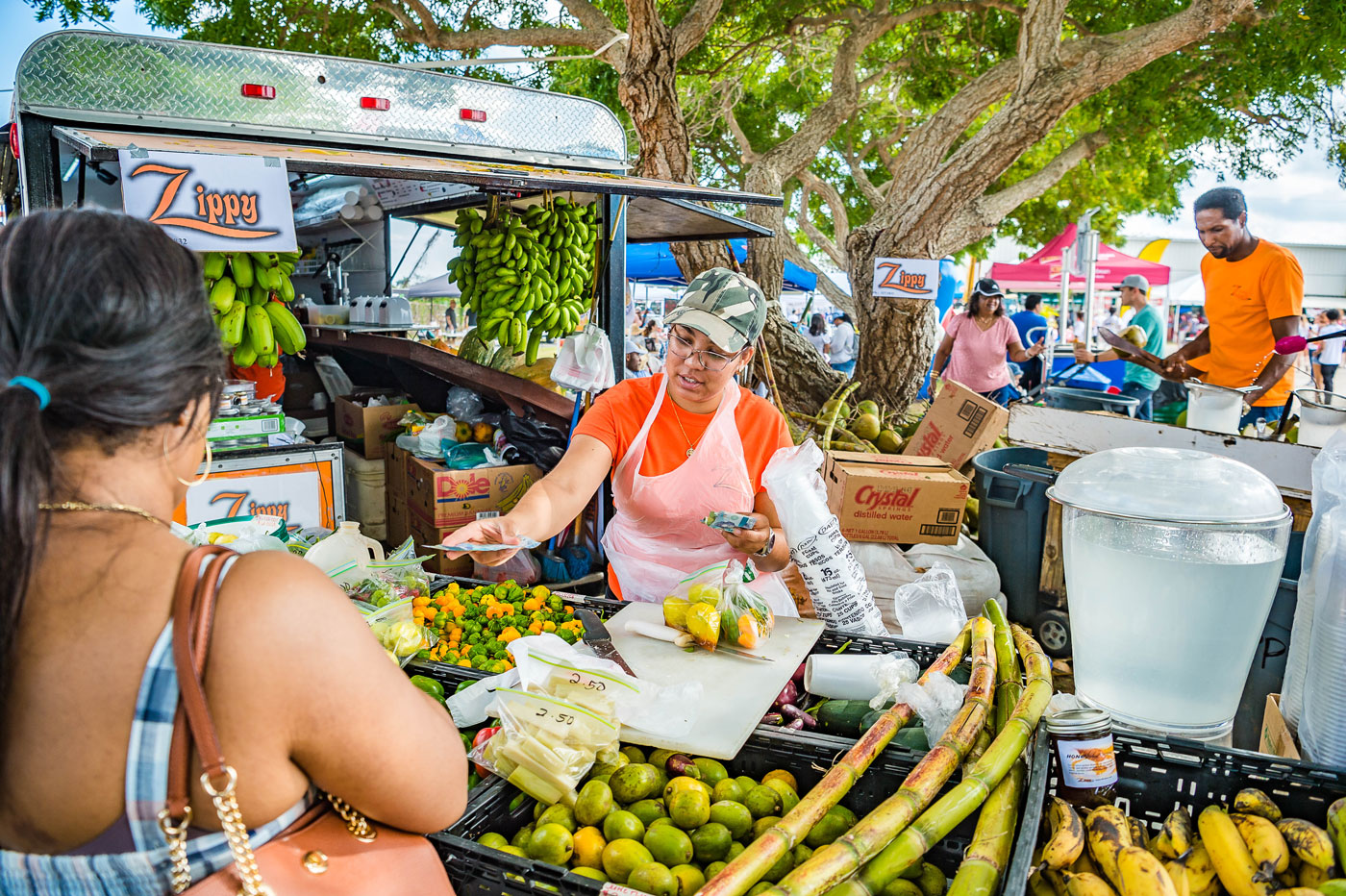 Agriculture Show embraces tradition - Cayman Compass