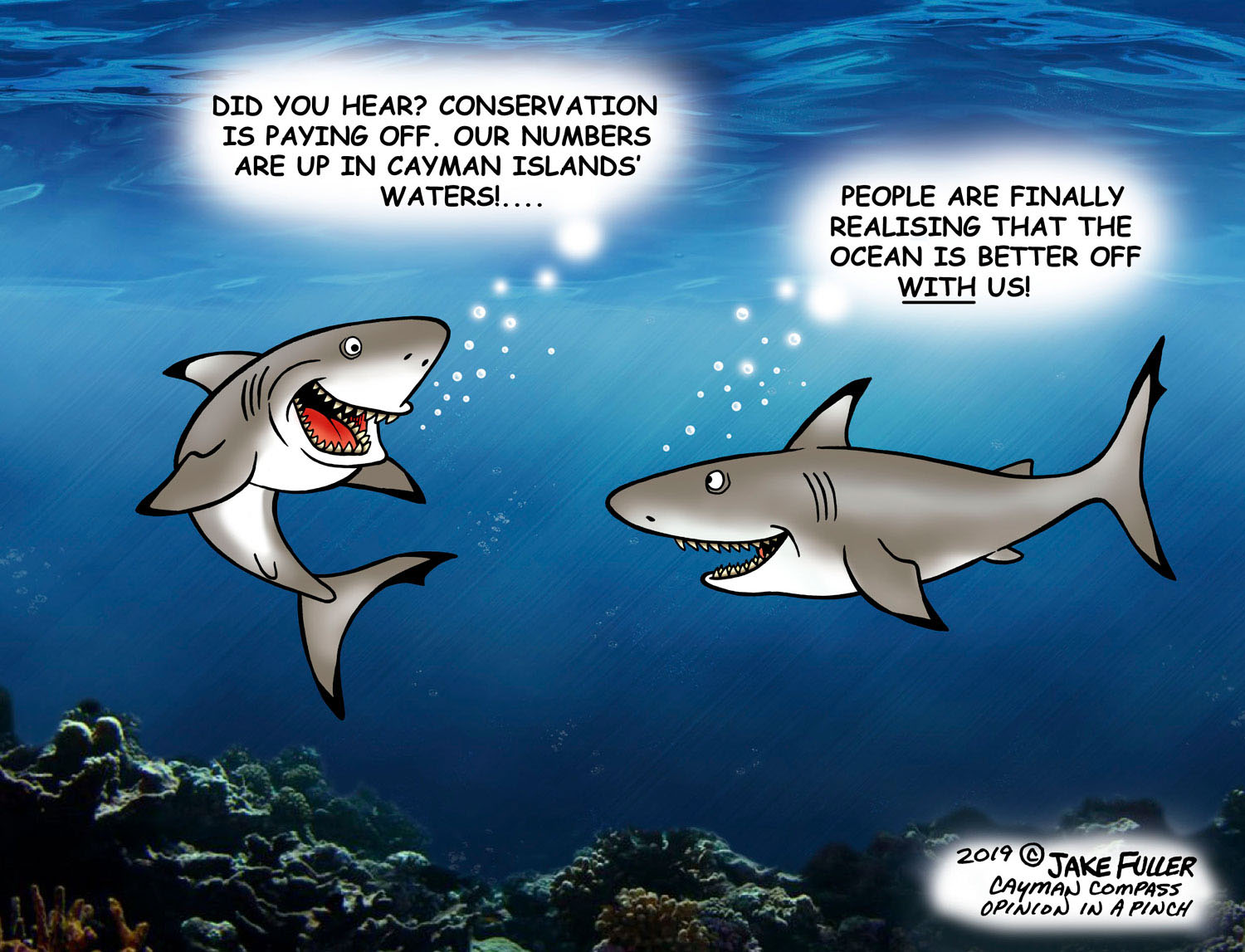 Shark conservation - Cayman Compass