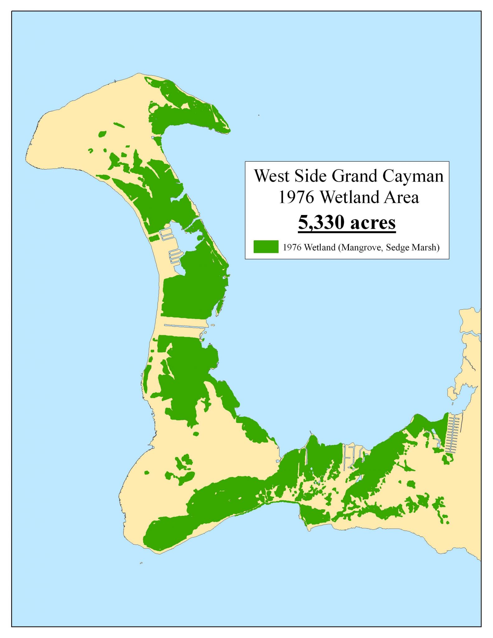 Cayman’s diminishing mangroves - Cayman Compass