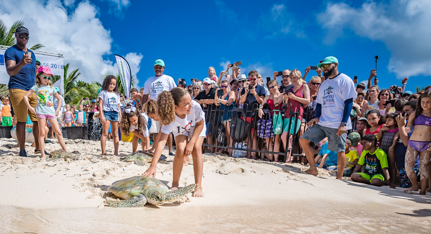 Turtle centre drafts species protection plan - Cayman Compass