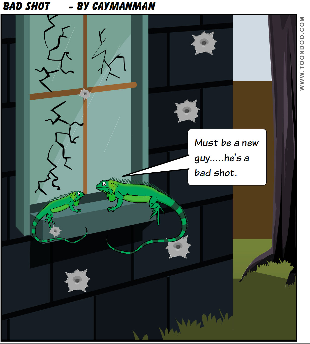 Bad shot - Cayman Compass