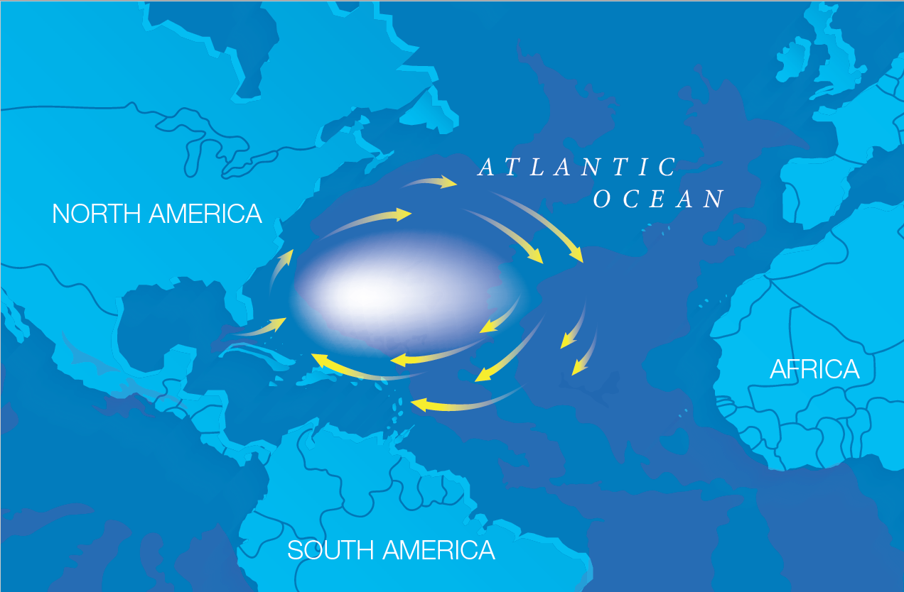 sargasso map - Cayman Compass