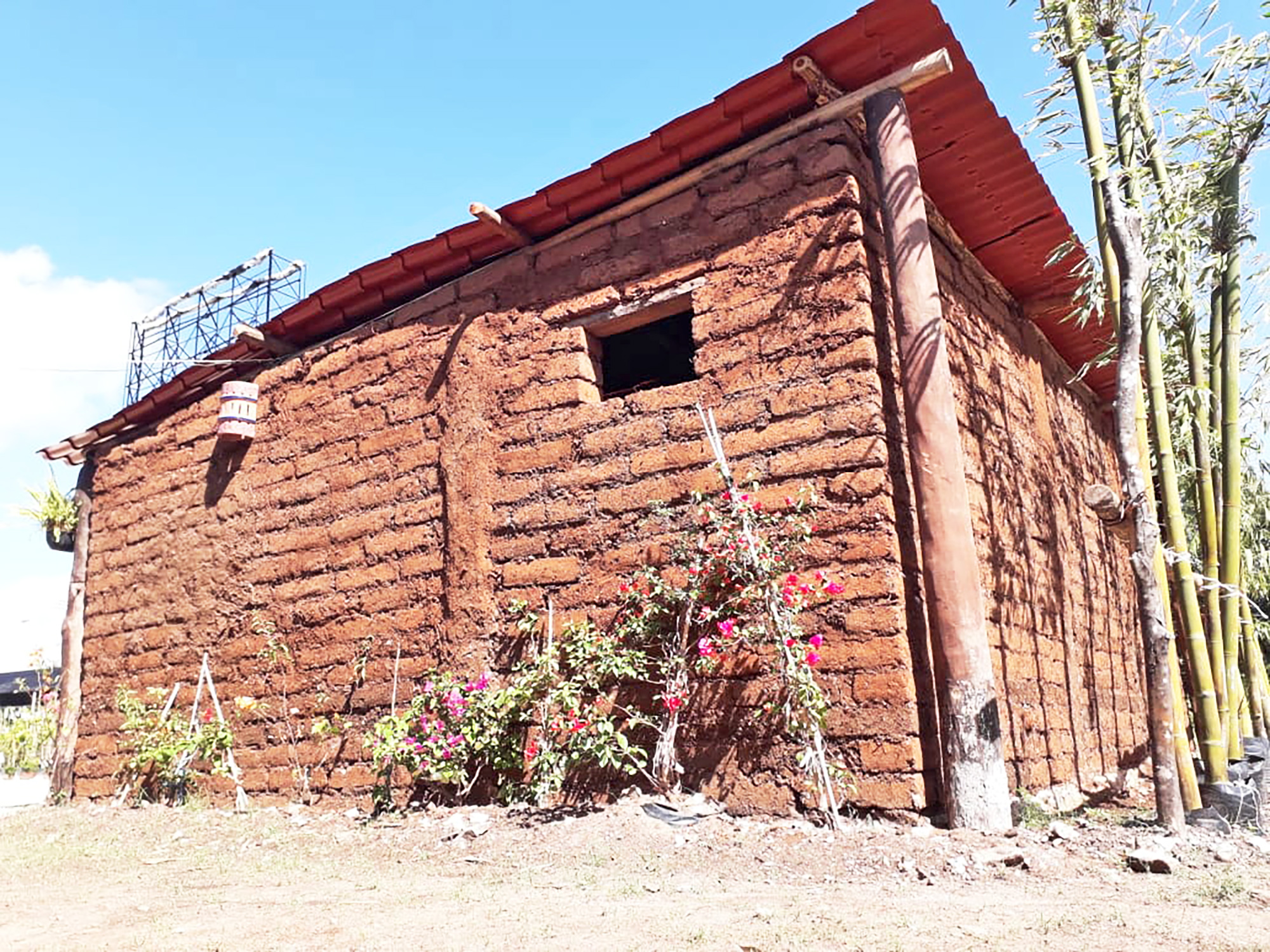 Sargassum houses turn seaweed invasion into economic opportunity ...