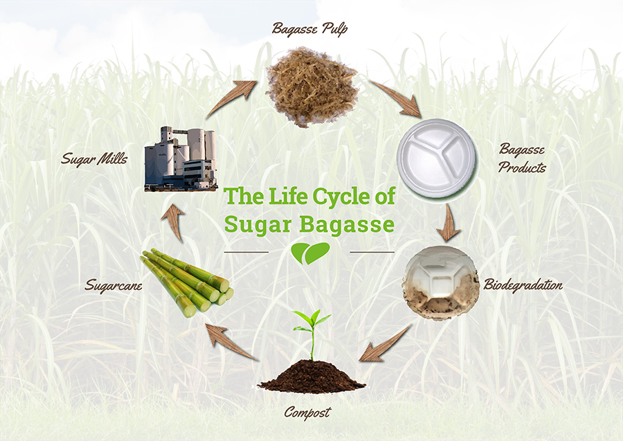 Sugar Bagasse Life Cycle - Cayman Compass