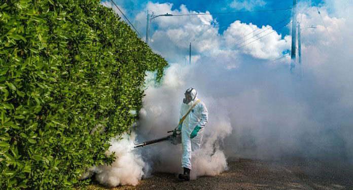 MRCU fogs areas to combat dengue-carrying mosquitoes - Cayman Compass