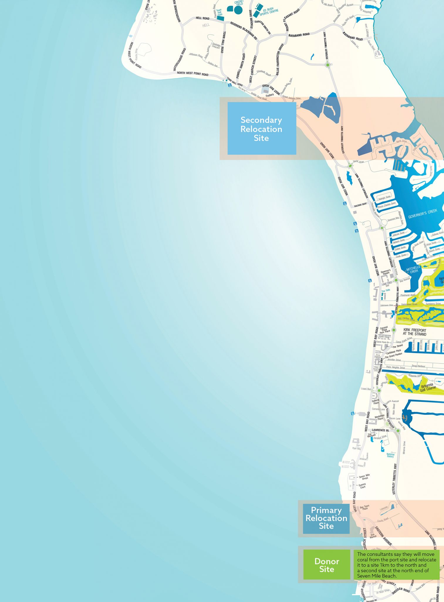 Verdant Isle outlines coral relocation plan - Cayman Compass