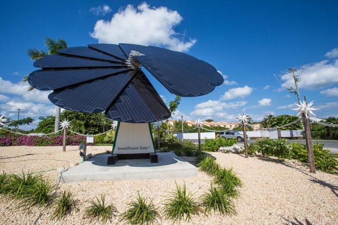 CUC using art to revolutionise renewable energy - Cayman Compass