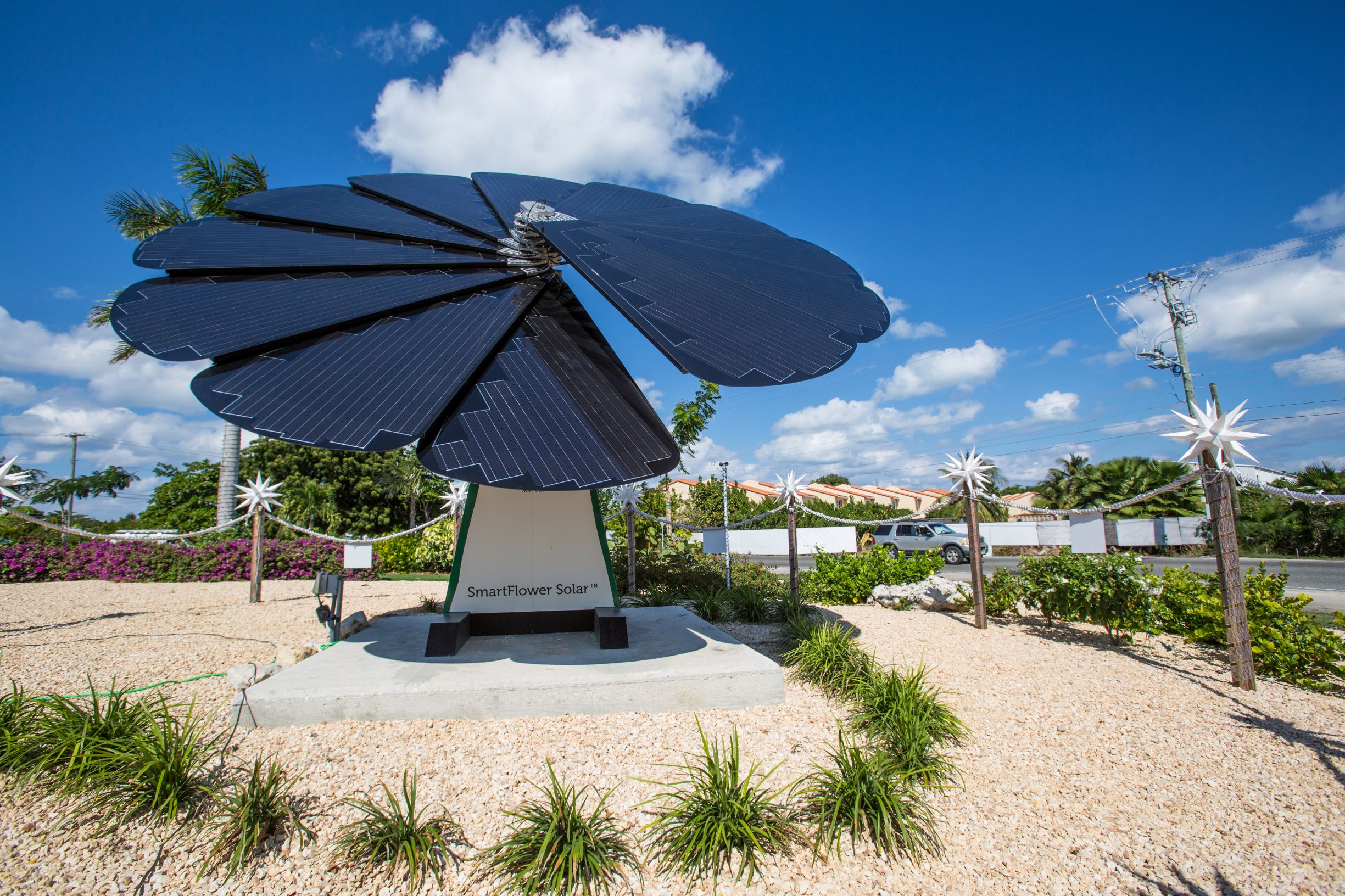 CUC using art to revolutionise renewable energy - Cayman Compass