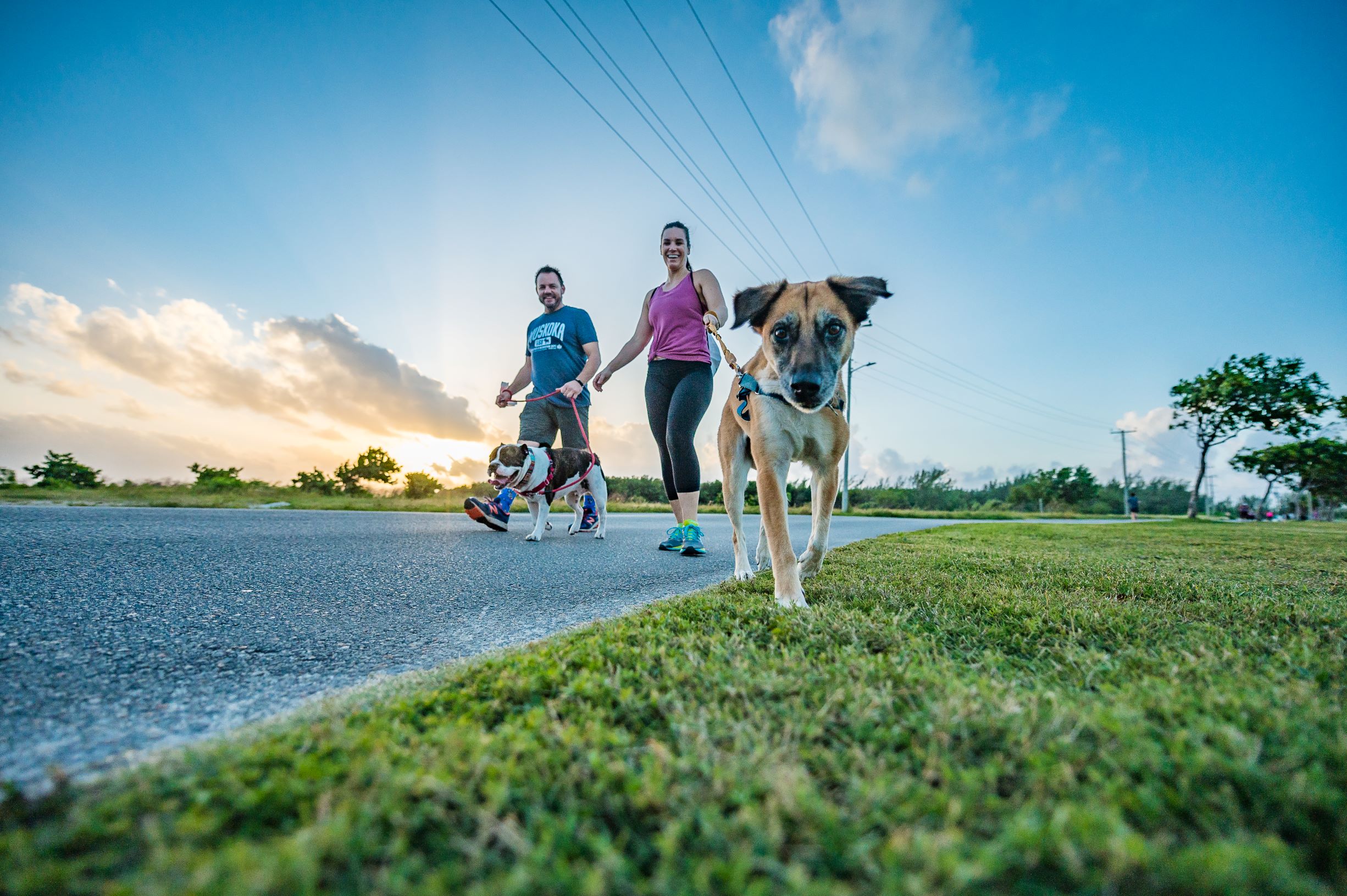 On the run for Dog Jog - Cayman Compass