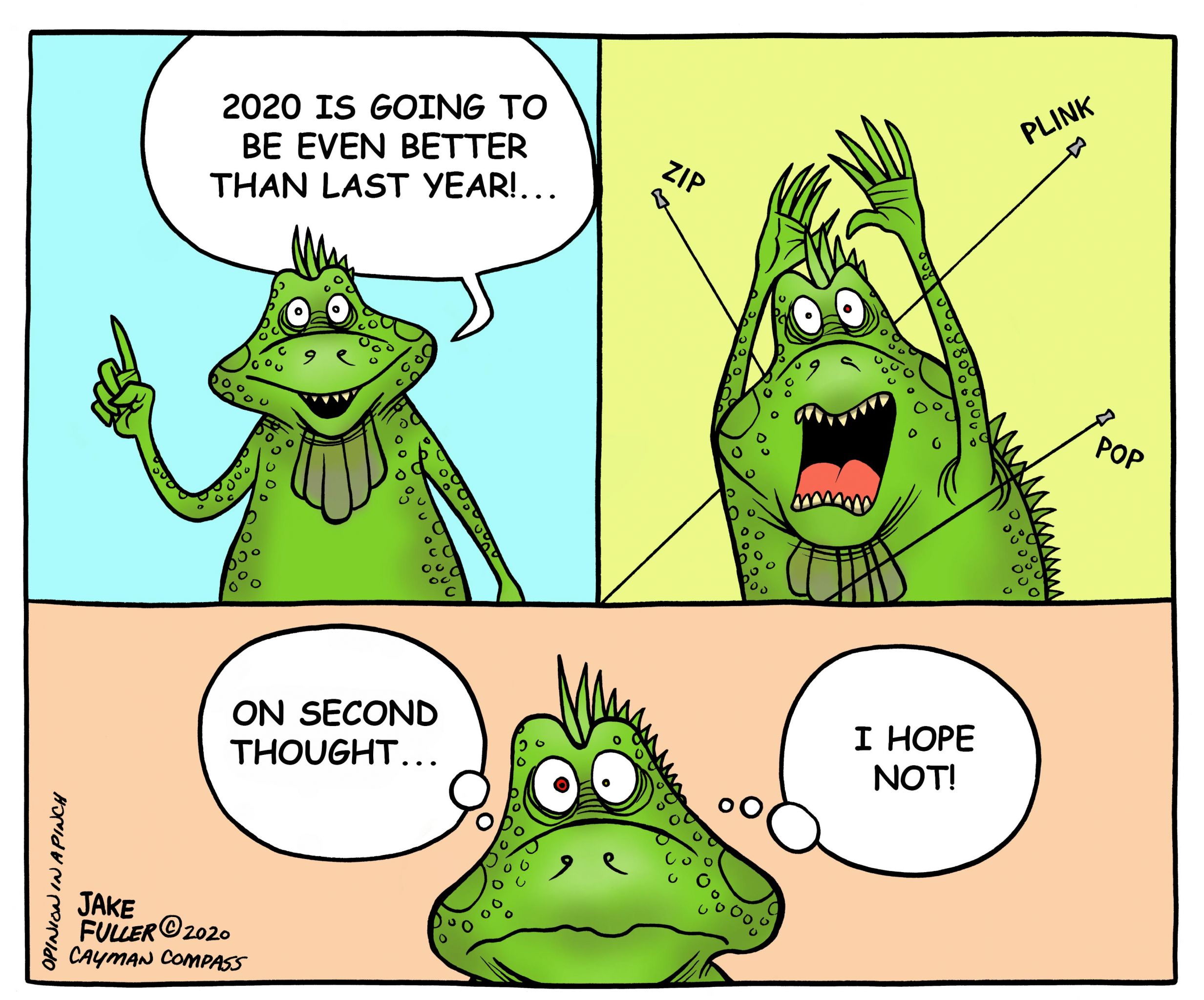 Better year? - Cayman Compass