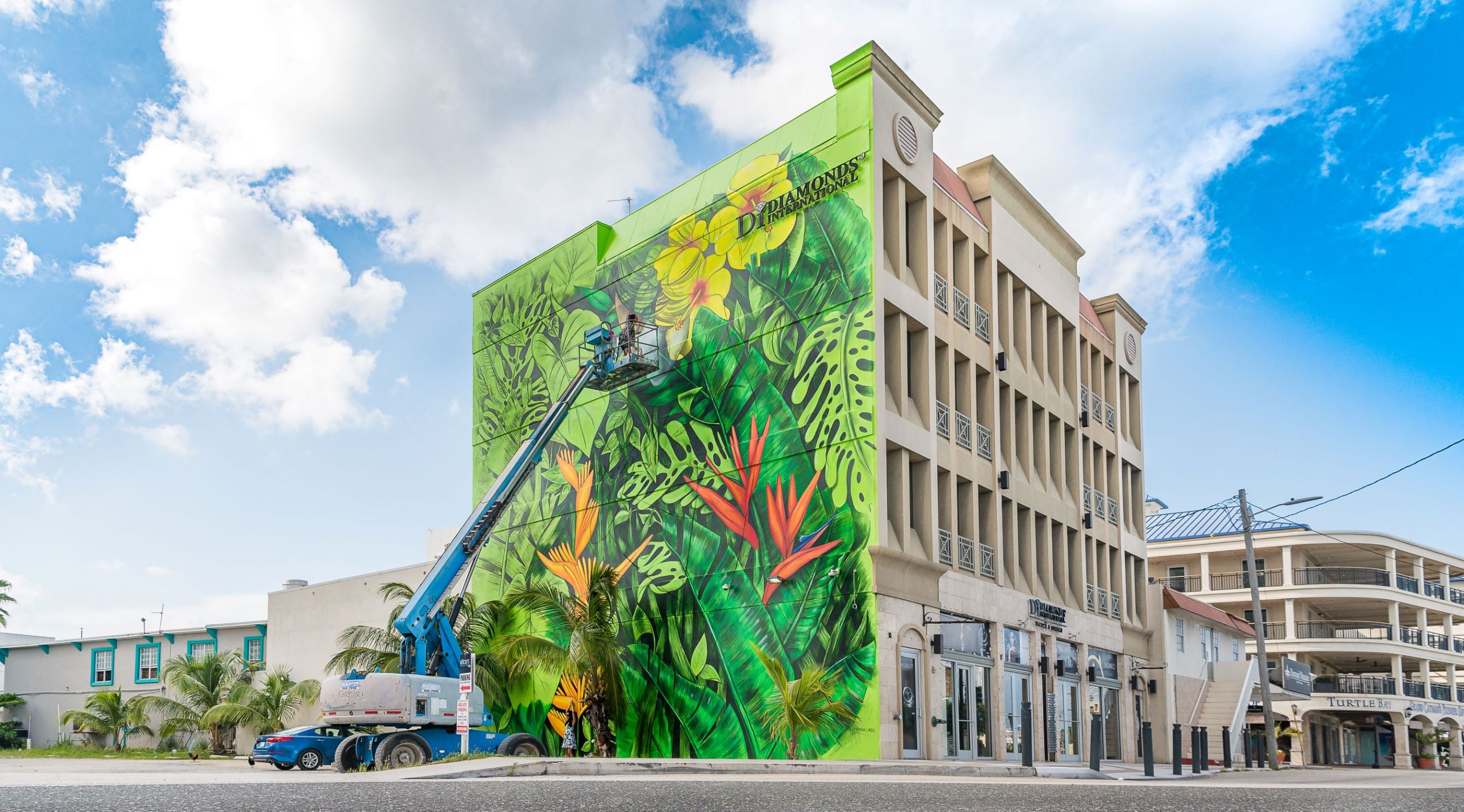 DI Mural-1 web - Cayman Compass