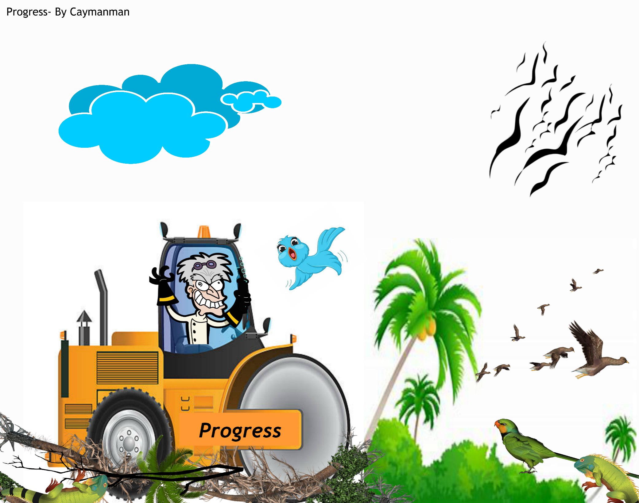 Progress - Cayman Compass