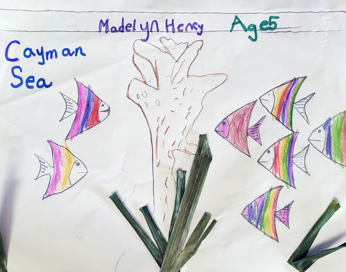 Madelyn-Henry-5 - Cayman Compass