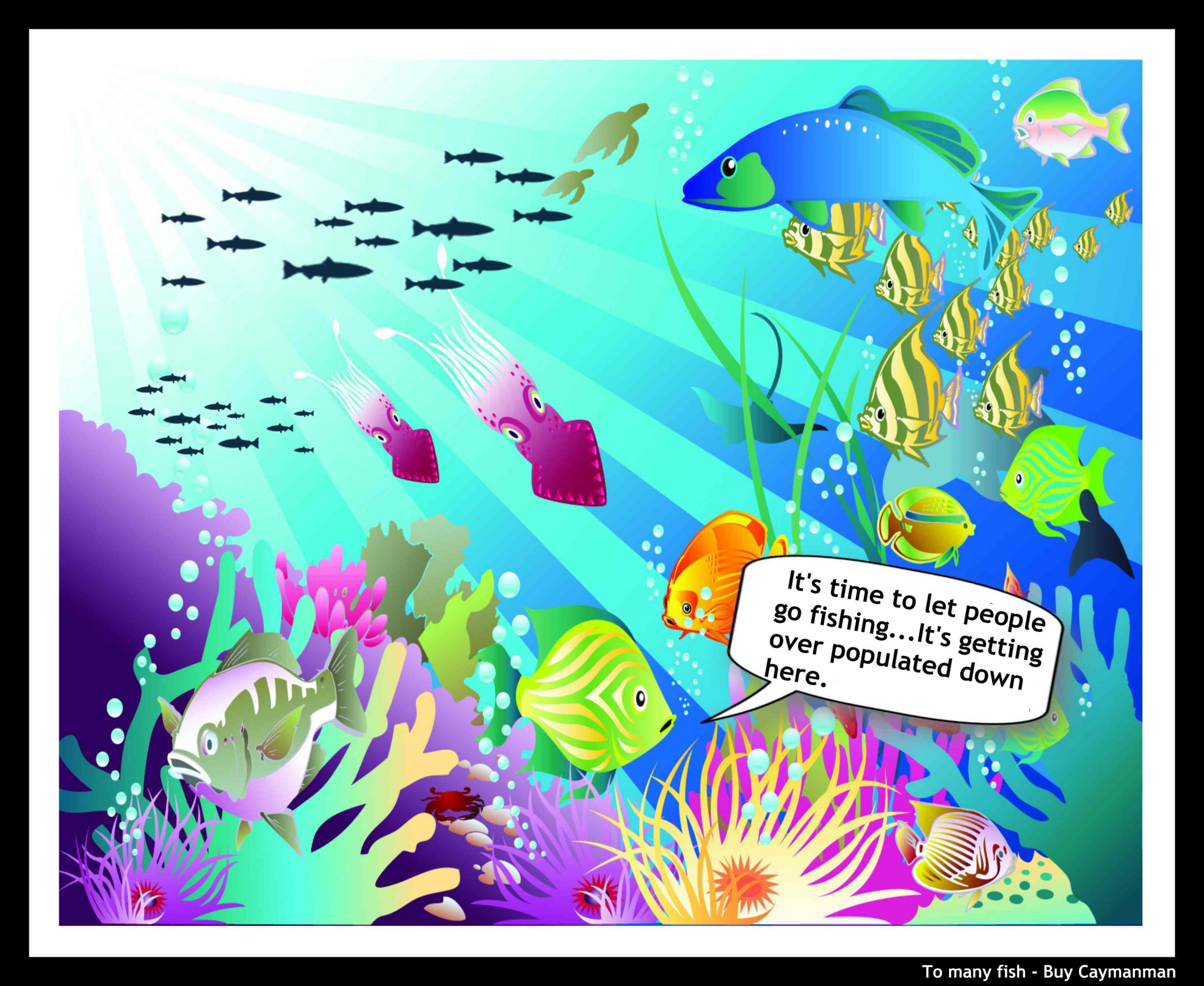 Too many fish - Cayman Compass