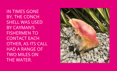 Community love and conch calls - Cayman Compass