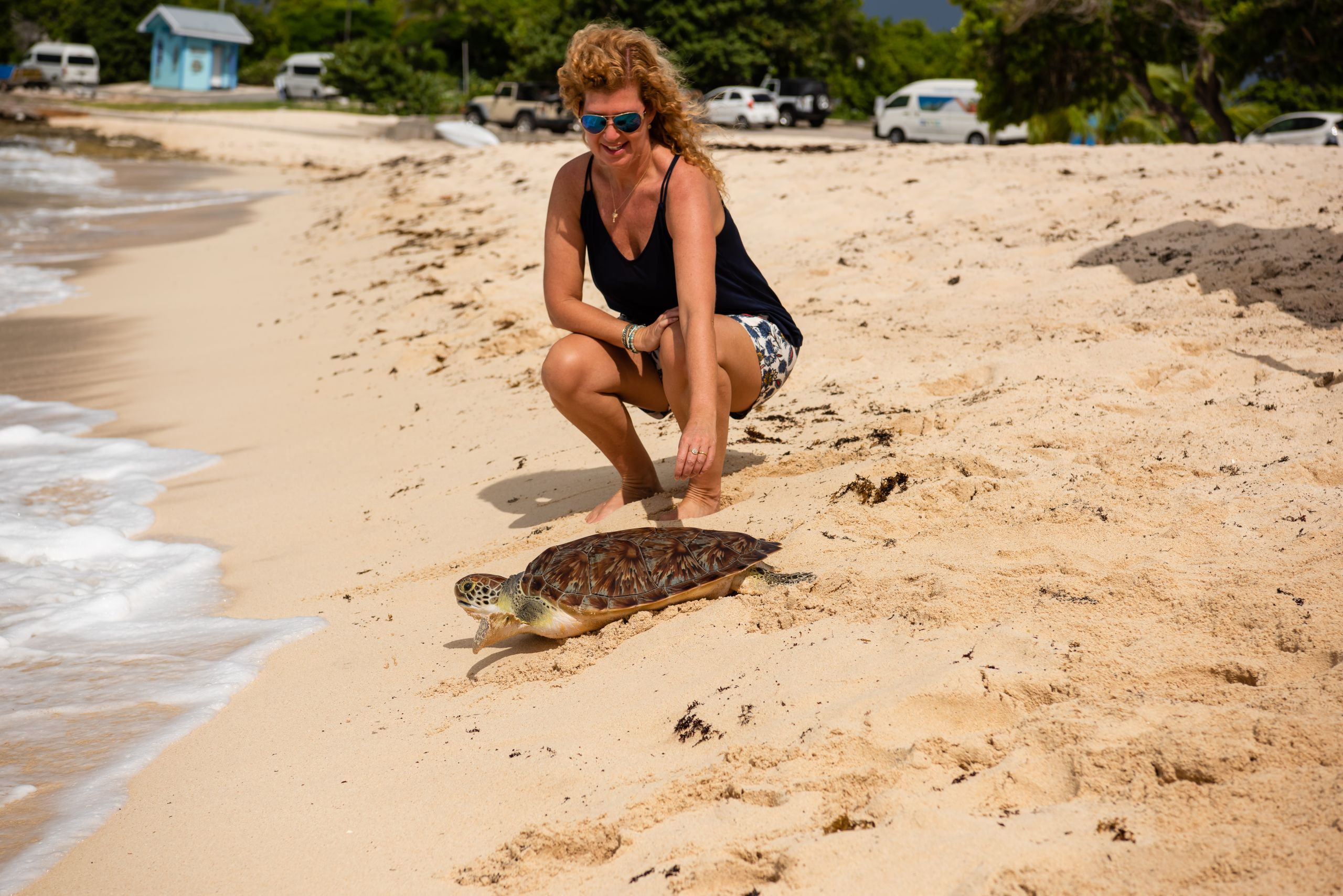 Take part in a private turtle release - Cayman Compass