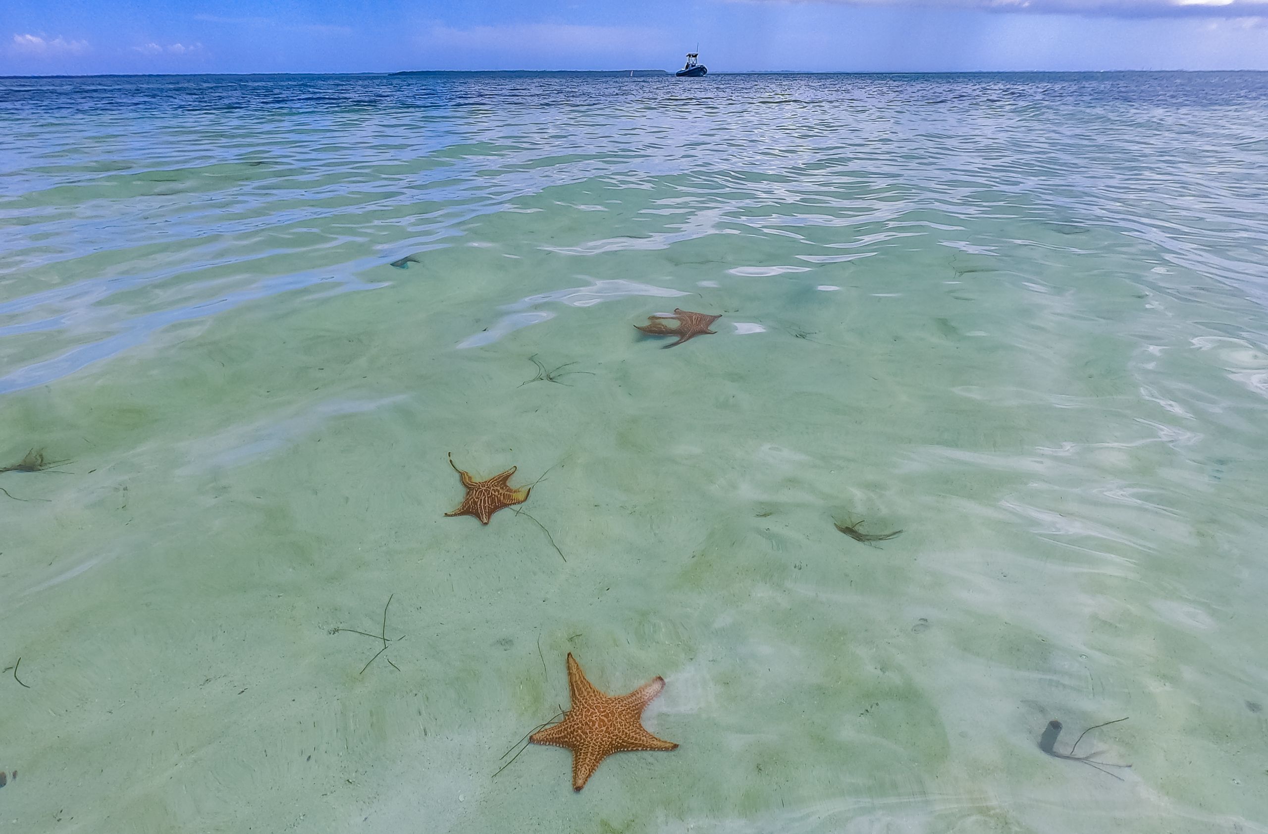 Best Beaches in the Cayman Islands - Cayman Compass