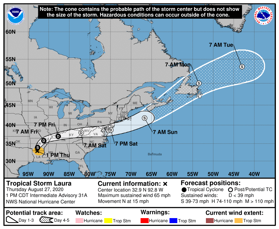 Laura cone - Cayman Compass