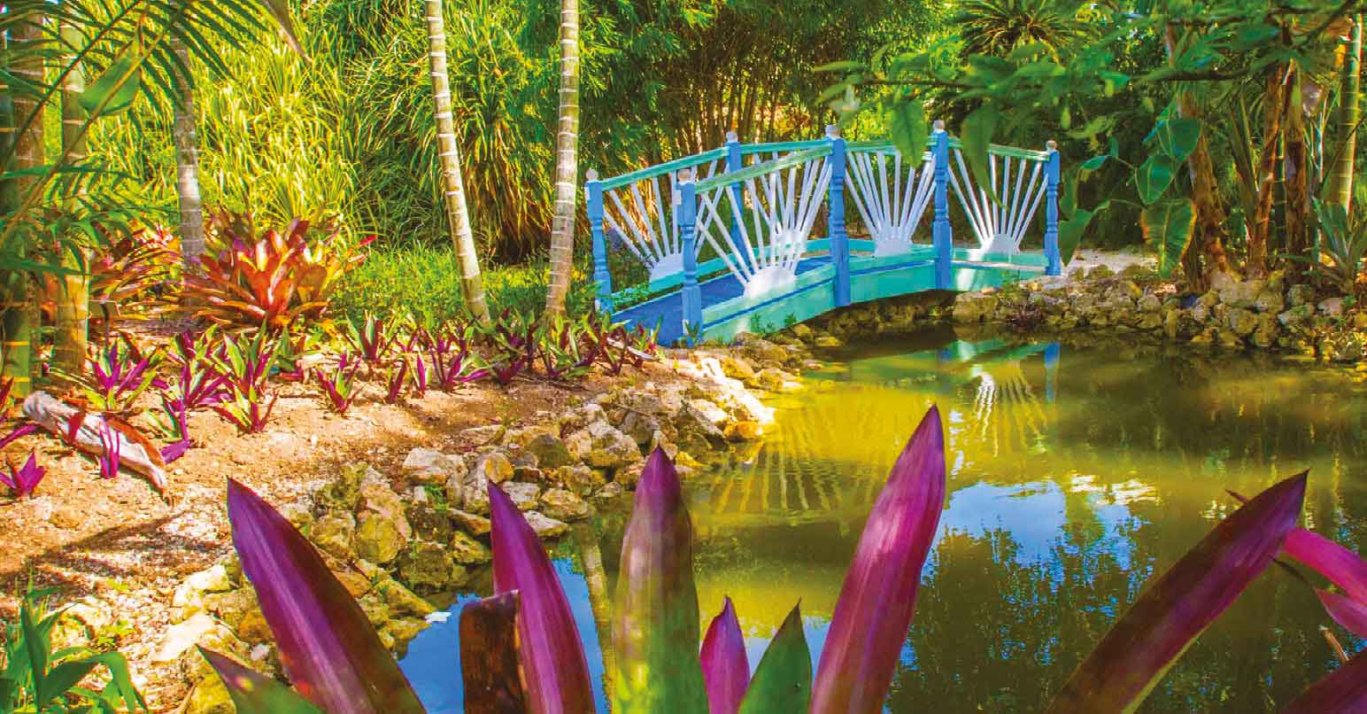 Enjoy a day out - Cayman Compass