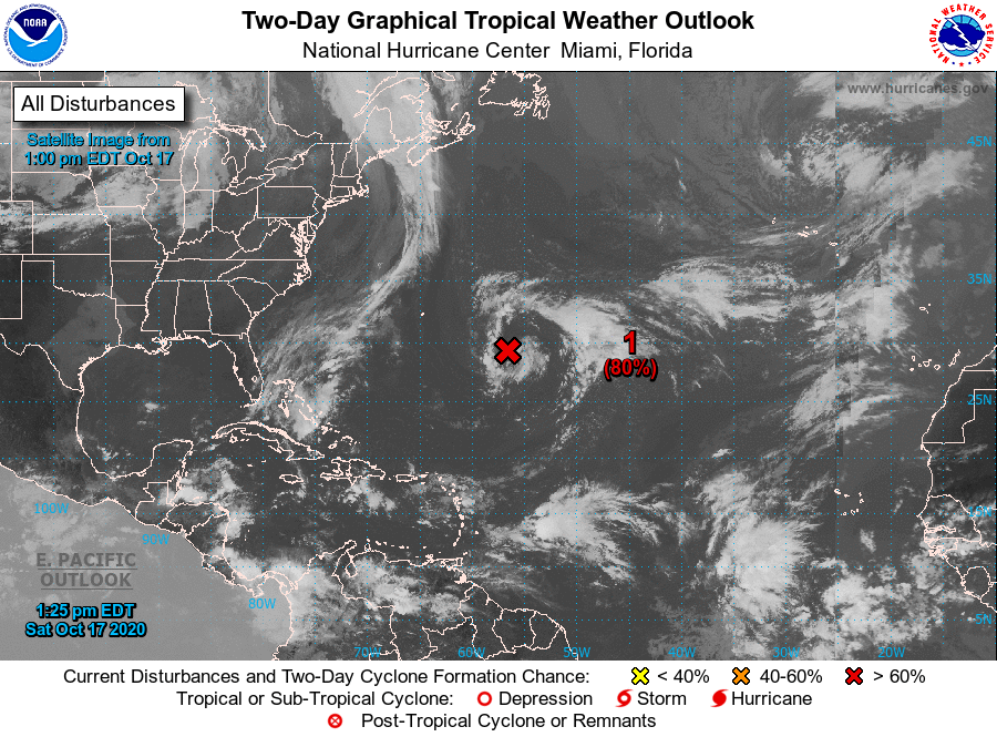 Fish storm brews in the Atlantic - Cayman Compass