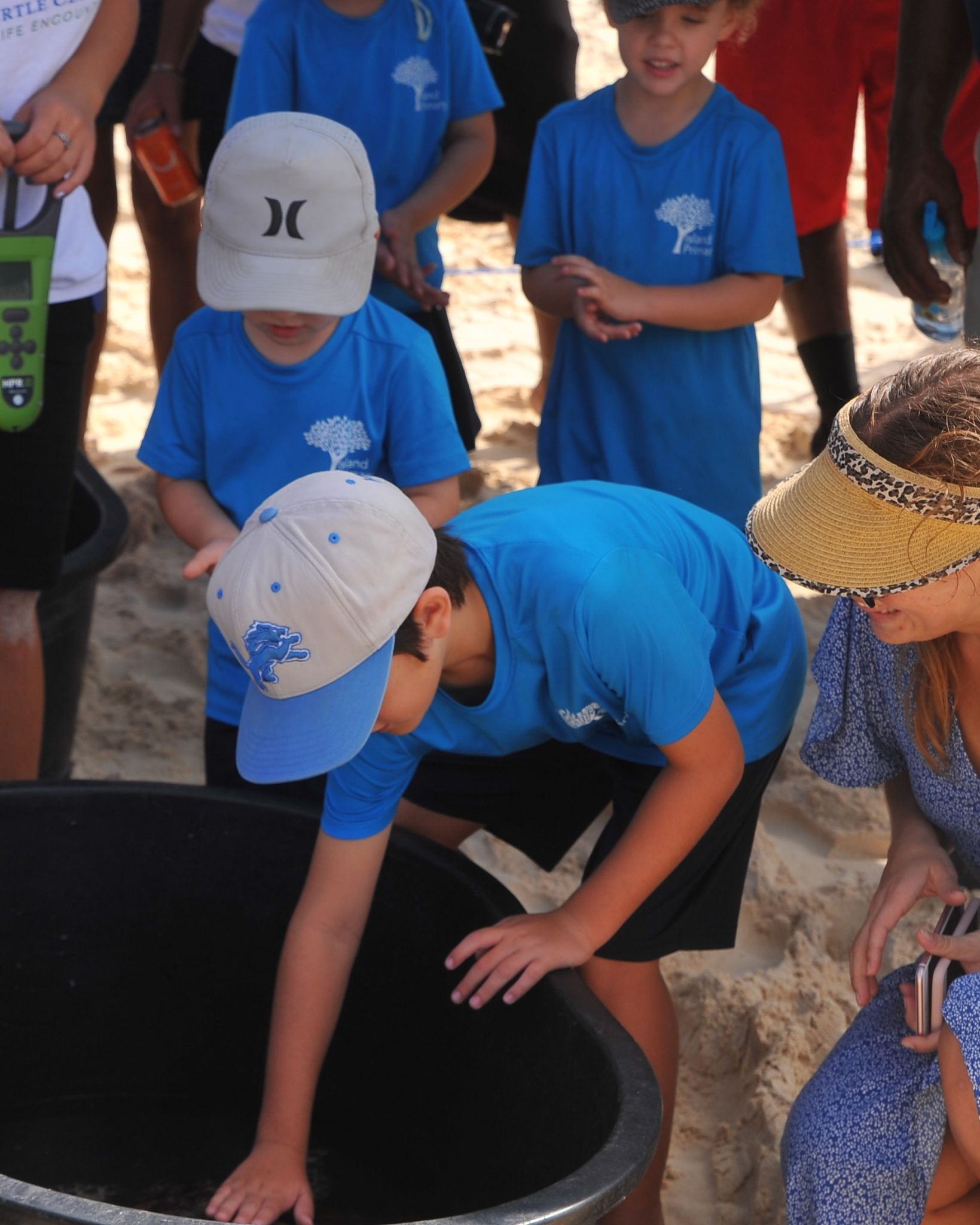 Video: 2020 Pirates Week turtle release - Cayman Compass