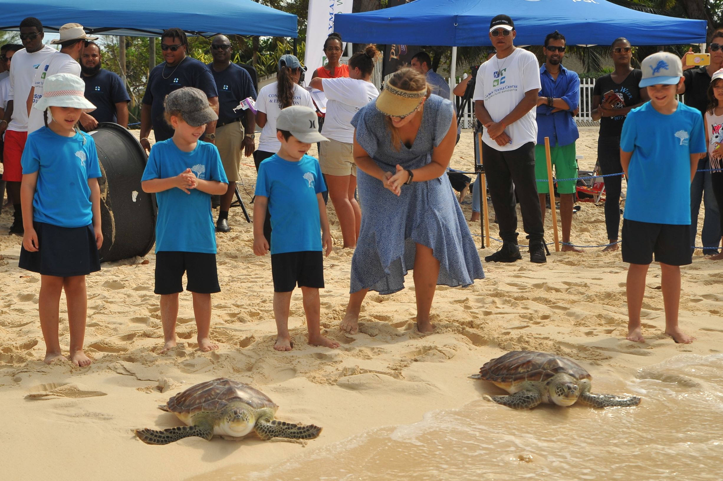 Video: 2020 Pirates Week turtle release - Cayman Compass
