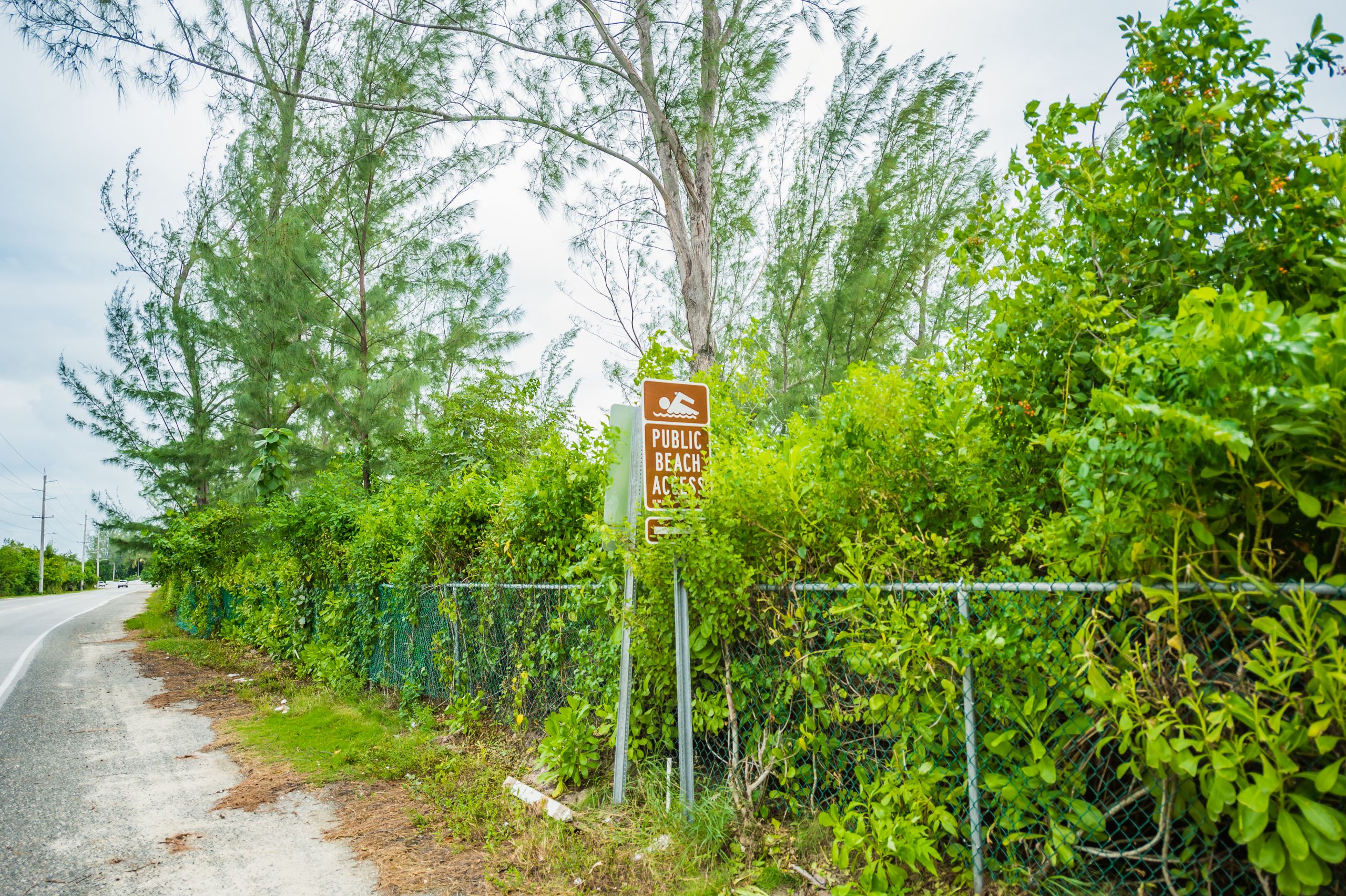 How accessible are beach accesses? - Cayman Compass