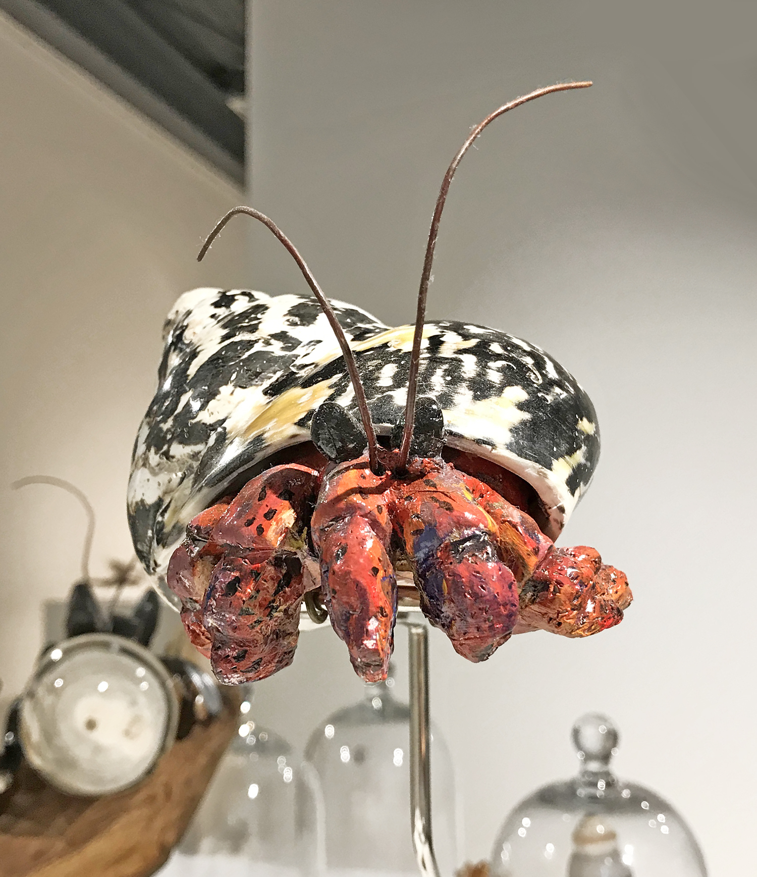 Horacio Esteban flies solo at National Gallery - Cayman Compass