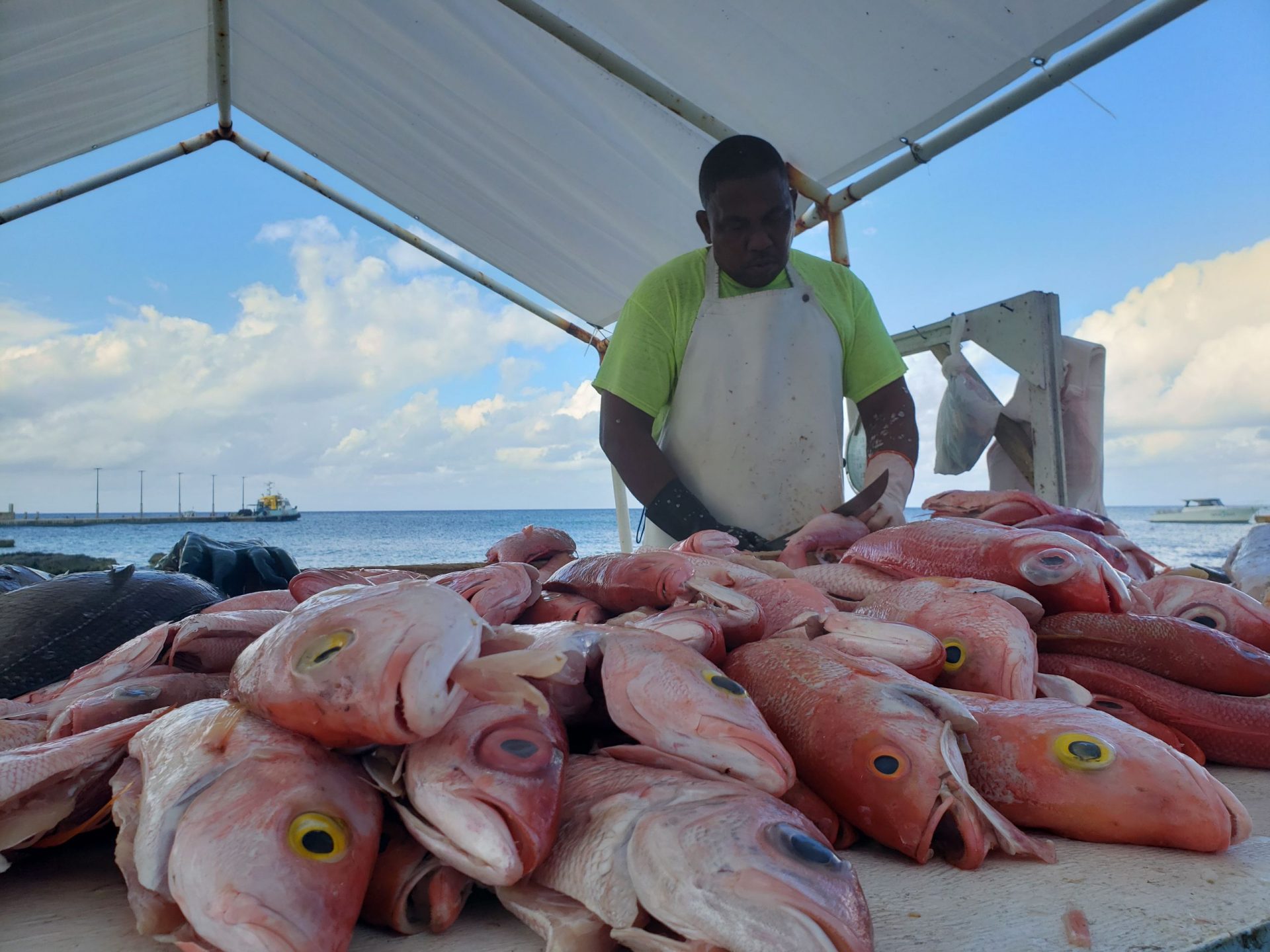 Fight over fish market site heads to Conservation Council - Cayman Compass