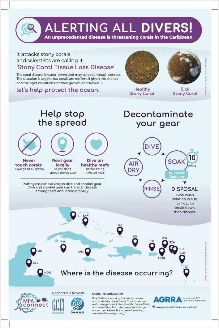 DoE seeking extra funding to combat deadly coral disease - Cayman Compass