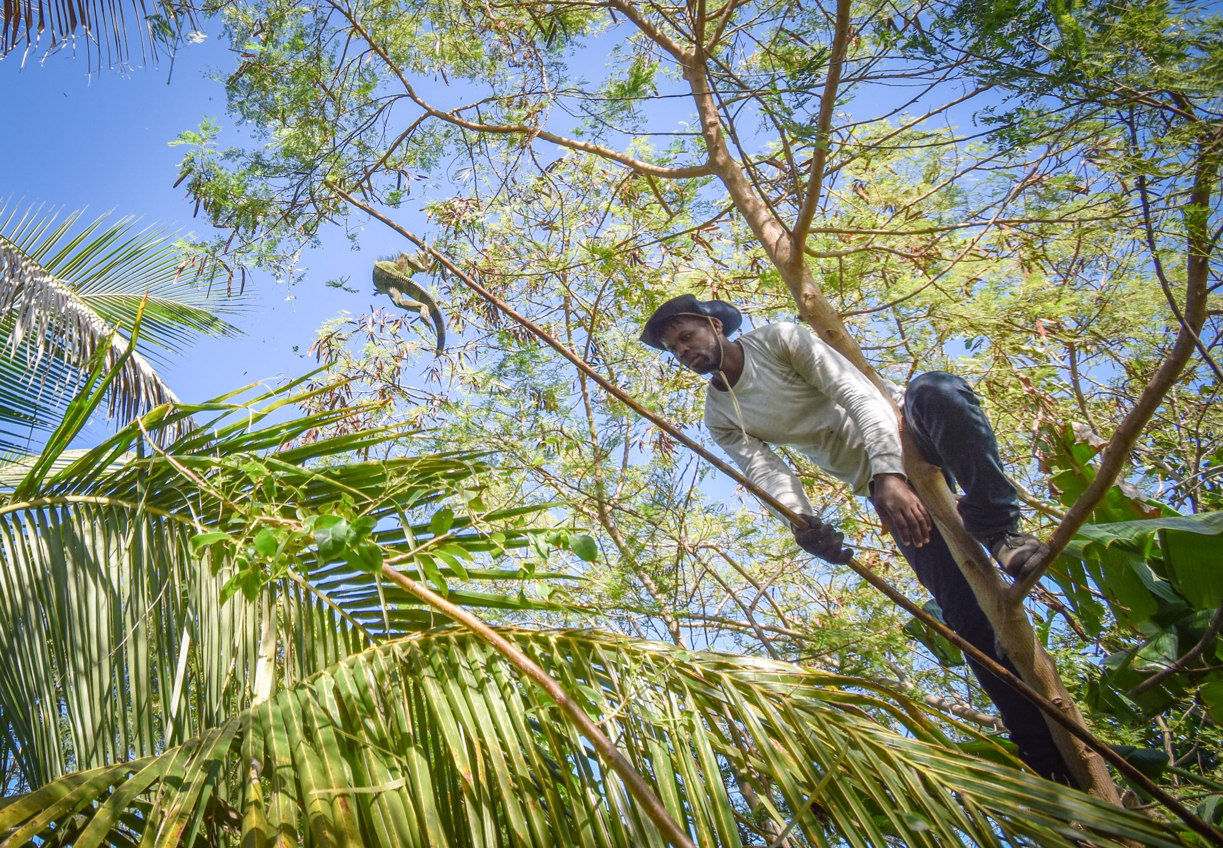 Environmental Protection Fund grows by $1 million - Cayman Compass