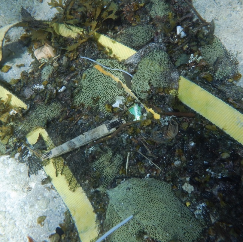 FIN hires divers to clean up debris - Cayman Compass
