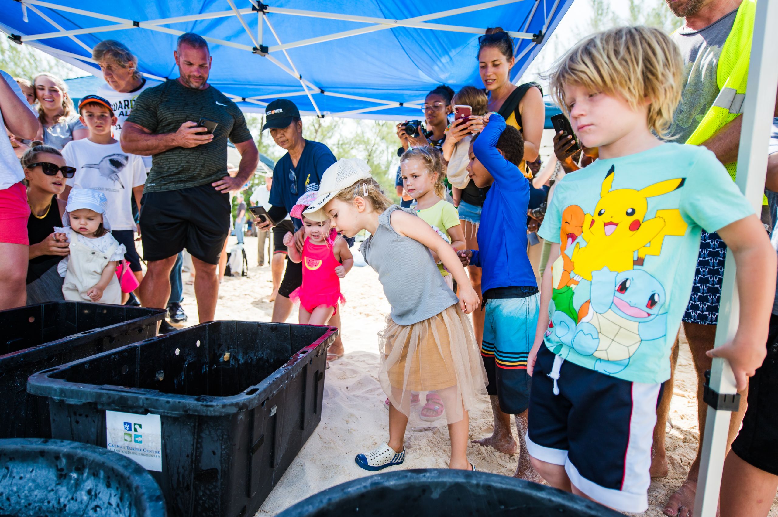 Turtle release in honour of World Sea Turtle day - Cayman Compass