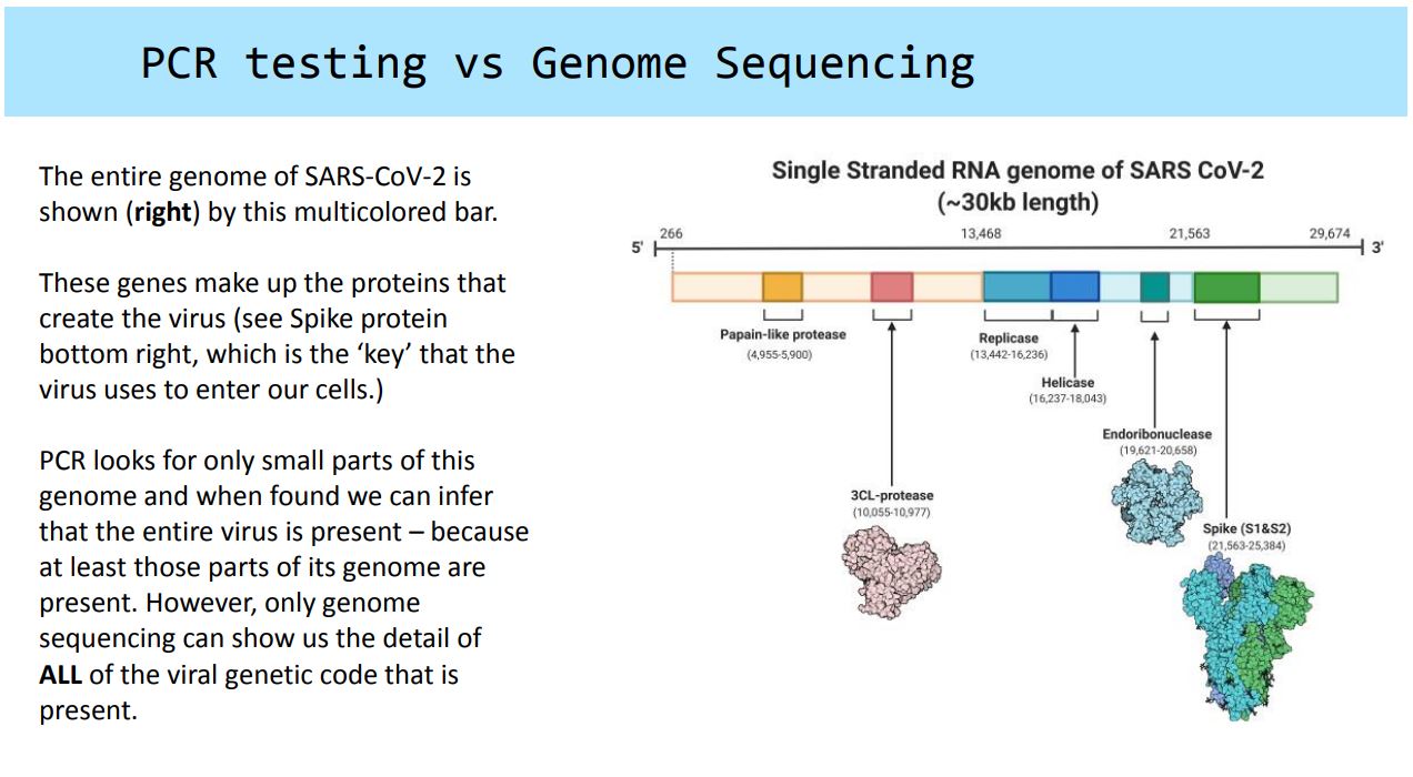 Genome sequencing advances COVID fight - Cayman Compass
