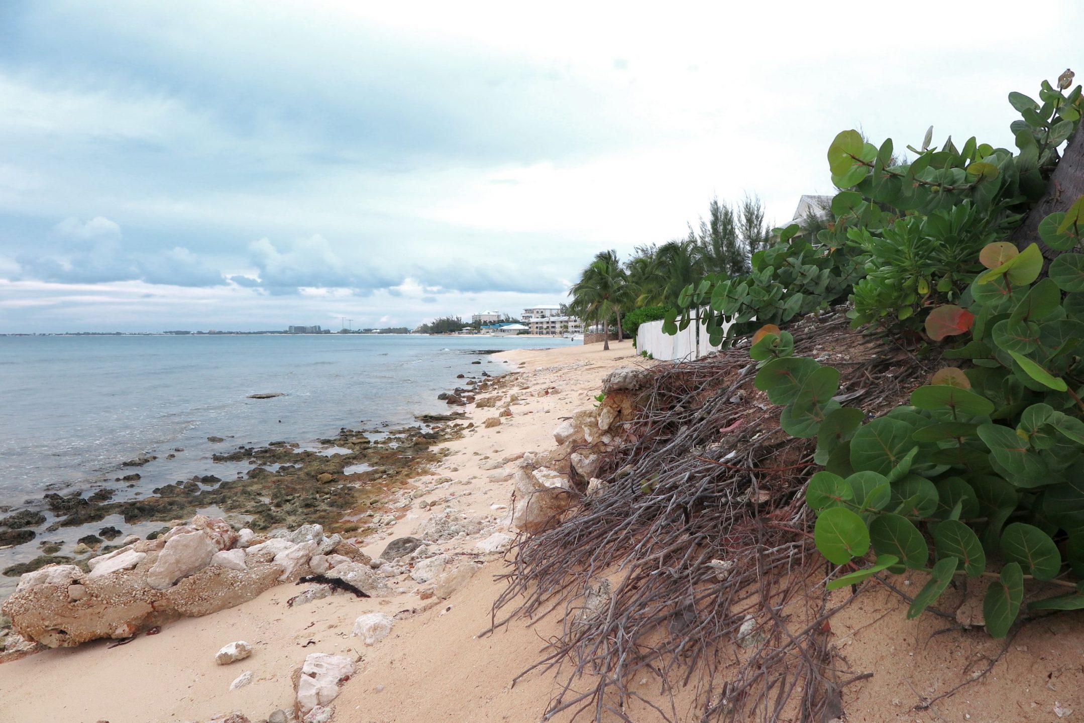 5 key warnings for Cayman from the UN's climate change report - Cayman ...