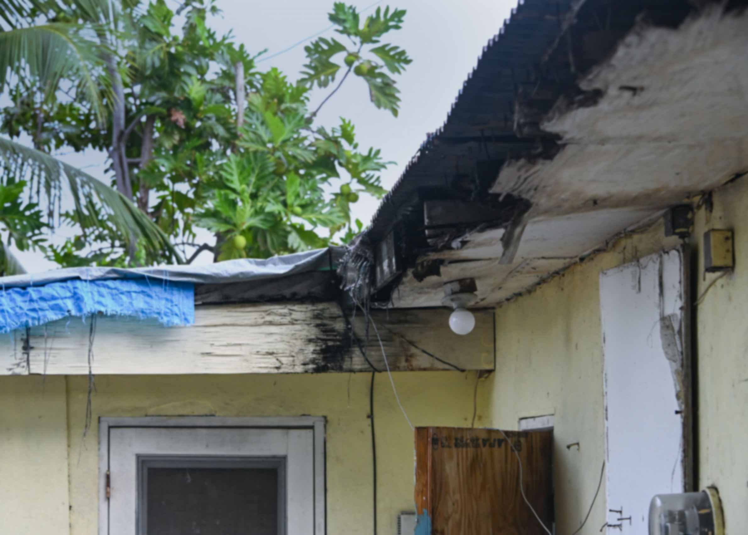 ARK-PHOTOS-BG-LOW-RES2 - Cayman Compass