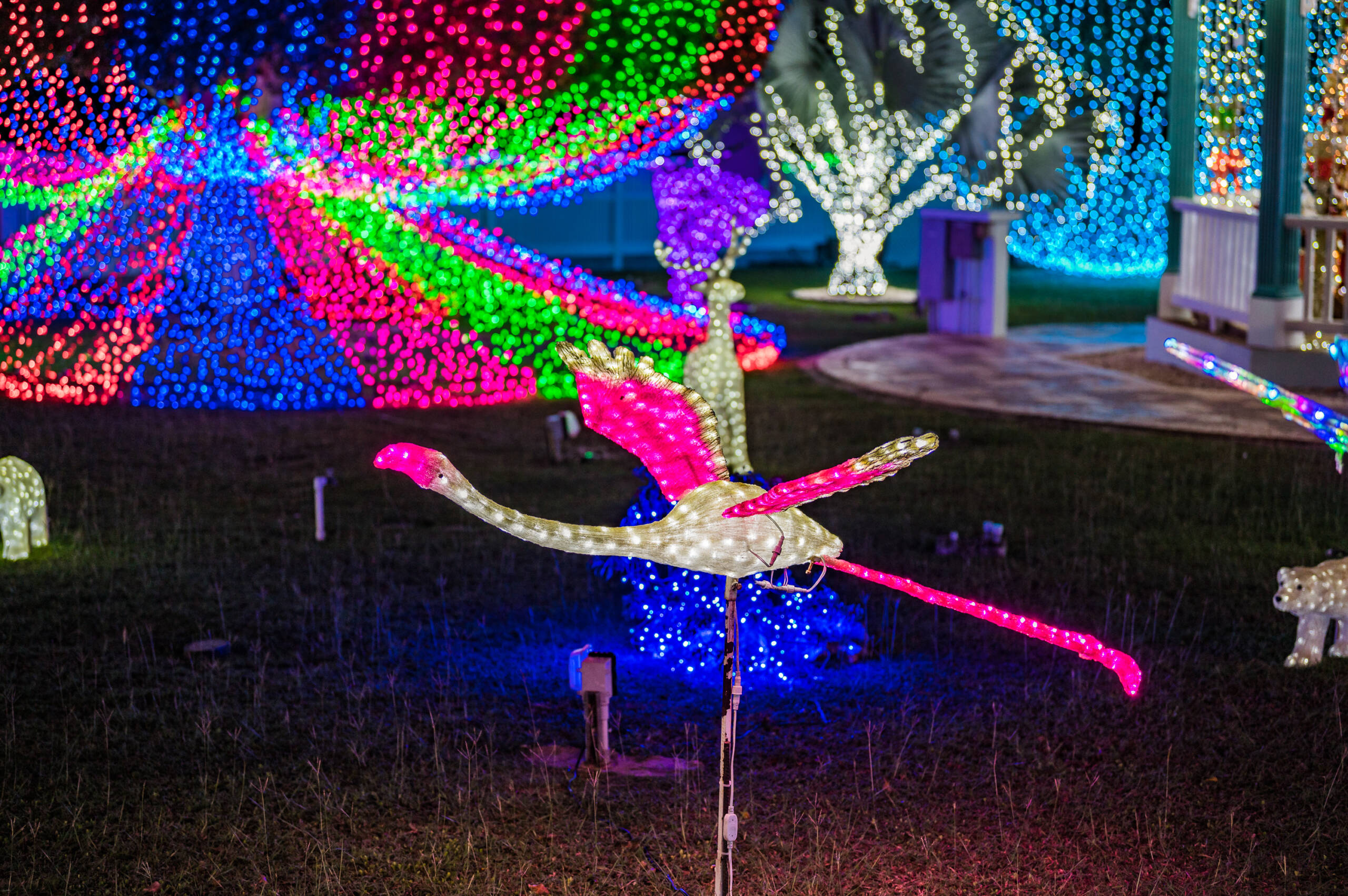 Reasons to be grateful this Christmas in Cayman - Cayman Compass