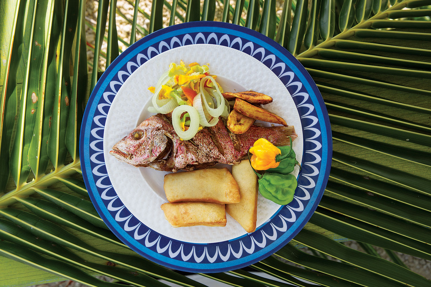 fish-on-plate - Cayman Compass