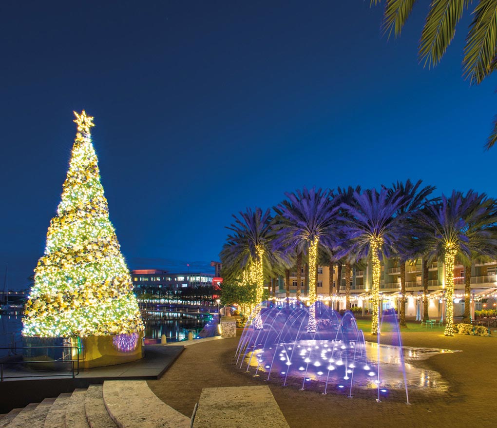 Behind the scenes of Cayman's holiday favourites - Cayman Compass